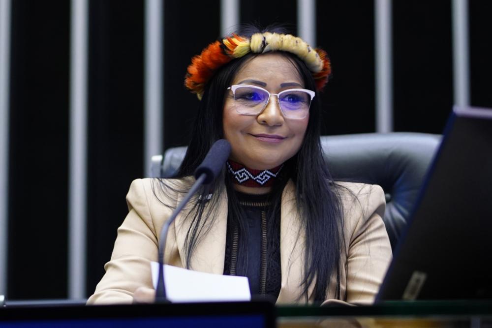 Silvia Waiãpi: últimas notícias - Revista Oeste